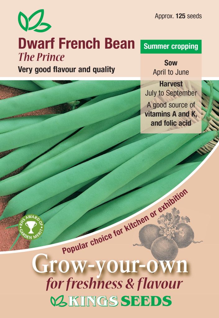 Dwarf French Bean – ‘The Prince’ - The Online Garden: Your One Stop ...
