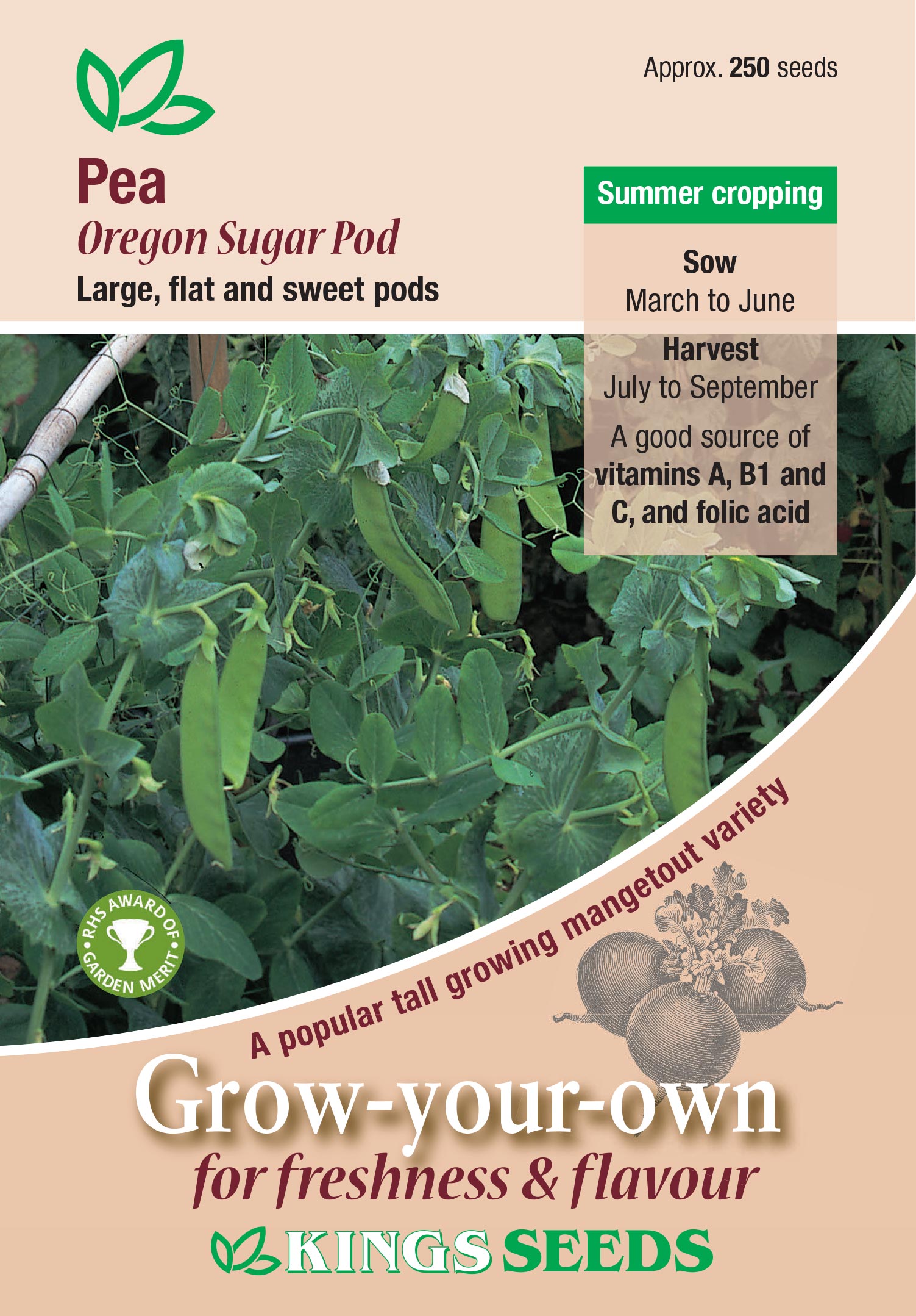 Pea – ‘Oregon Sugar Pod’ - The Online Garden: Your One Stop Plant Shop
