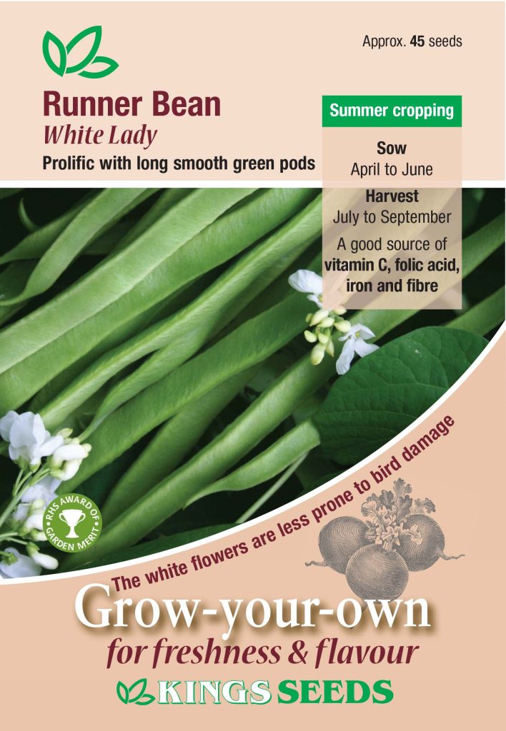 Runner Bean 'White Lady' - The Online Garden: Your One Stop Plant Shop