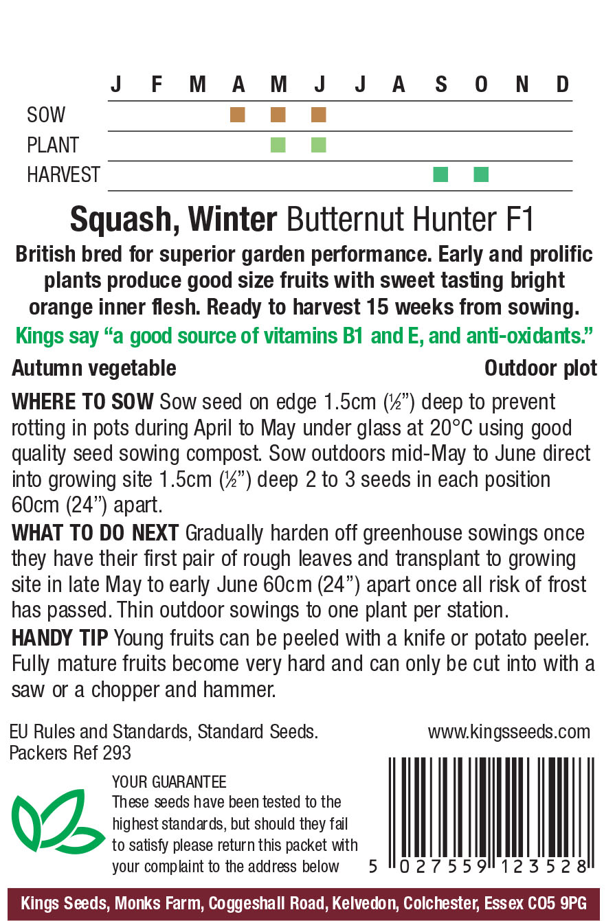 Winter Squash - Butternut Hunter F1 - The Online Garden: Your One Stop Plant Shop
