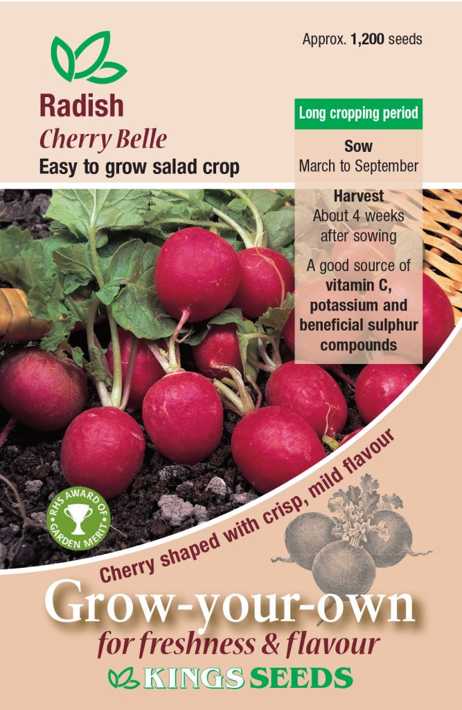 Radish - Cherry Belle - The Online Garden: Your One Stop Plant Shop