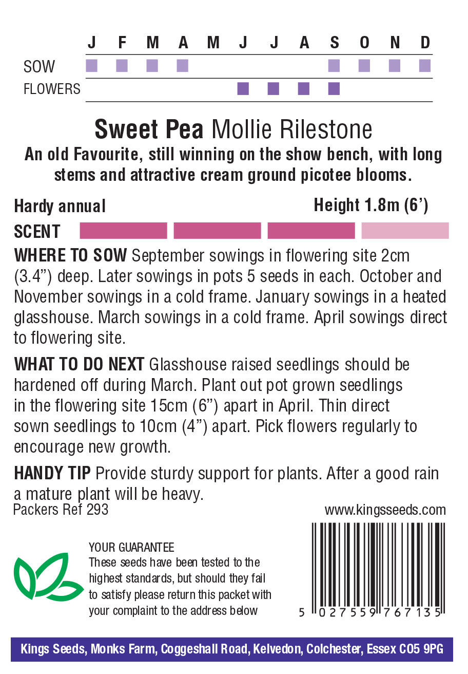 Sweet Pea 'Mollie Rilestone'(Lathyrus) HA - Highly Scented - The Online ...