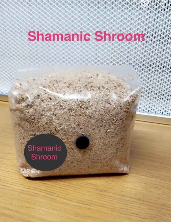 Injectable PF TEK 1.5KG Mushroom Substrate All In One Grow Bag - The ...