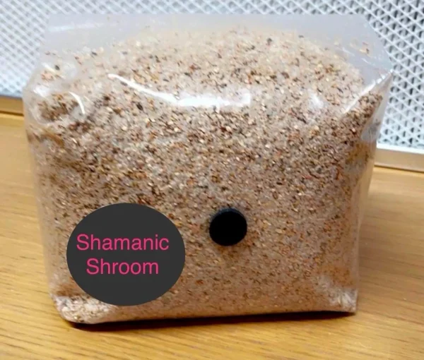 Injectable PF TEK 1.5KG Mushroom Substrate All In One Grow Bag - The ...